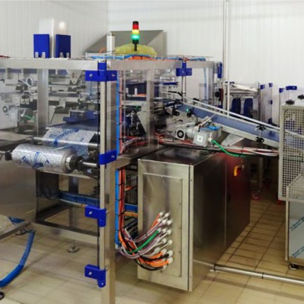 Machines for packaging of cheeses and sausage rolls - Cad Project